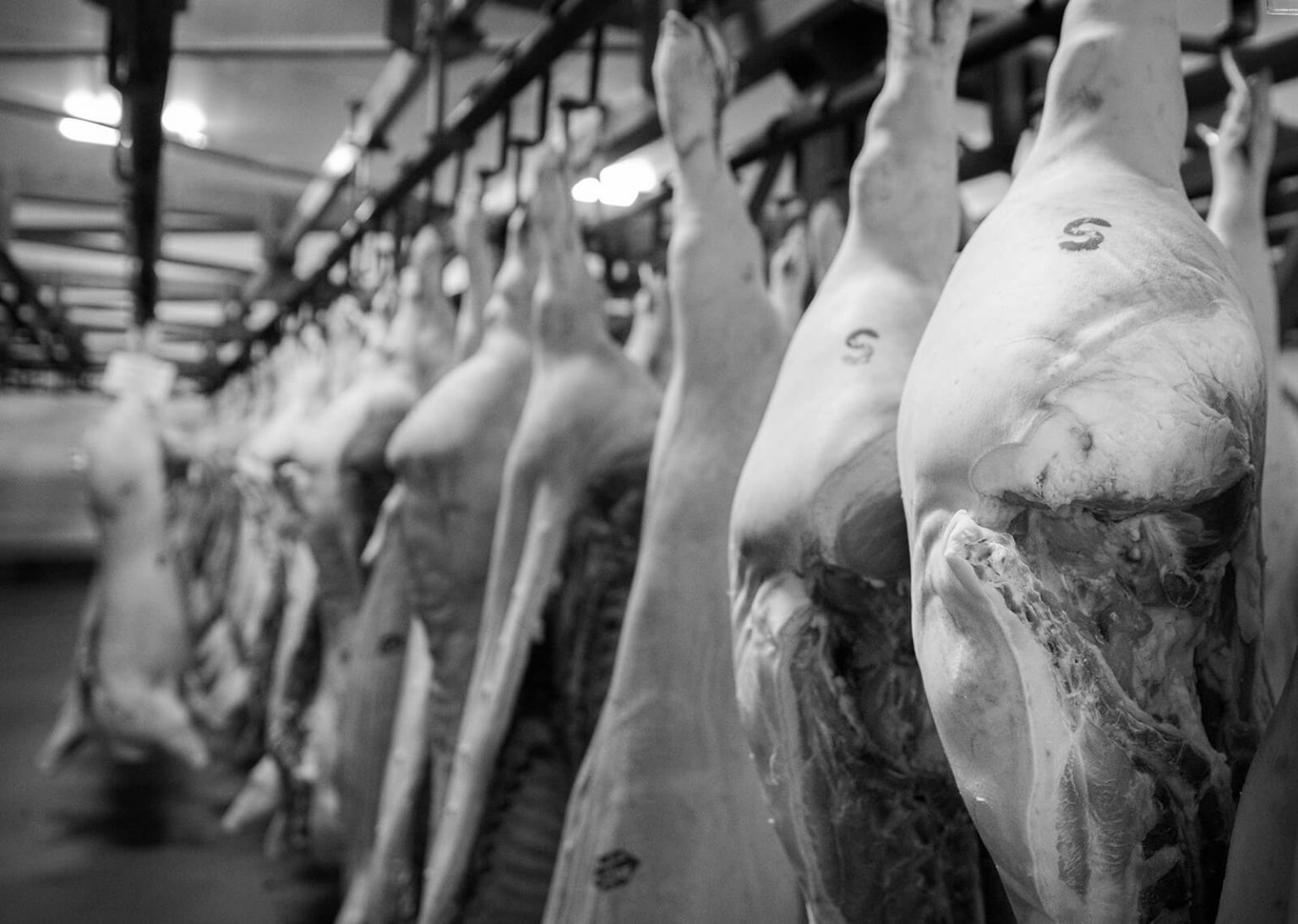 Angst – Mezeluri de calitate în România – Mezeluri Angst – producție și ...